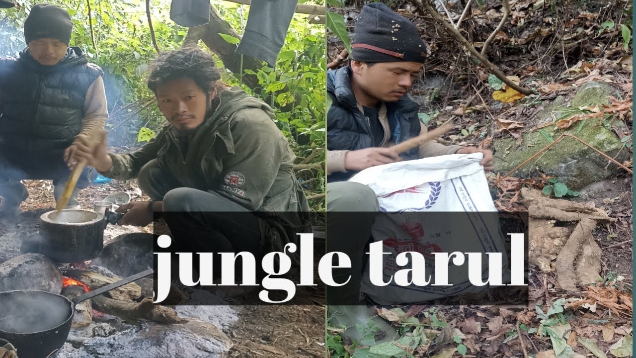 Kta haru sng jungle tarul hunting//ban tarul// part 1♥️😘 - YouTube