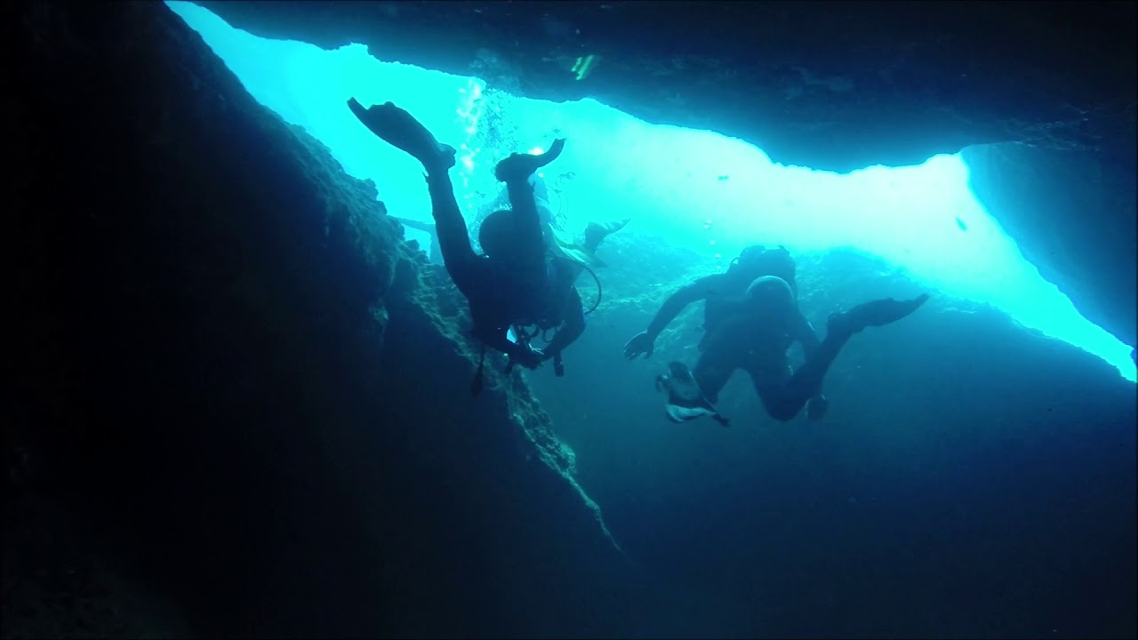 Diving in Portofino, Liguria, Italy - YouTube