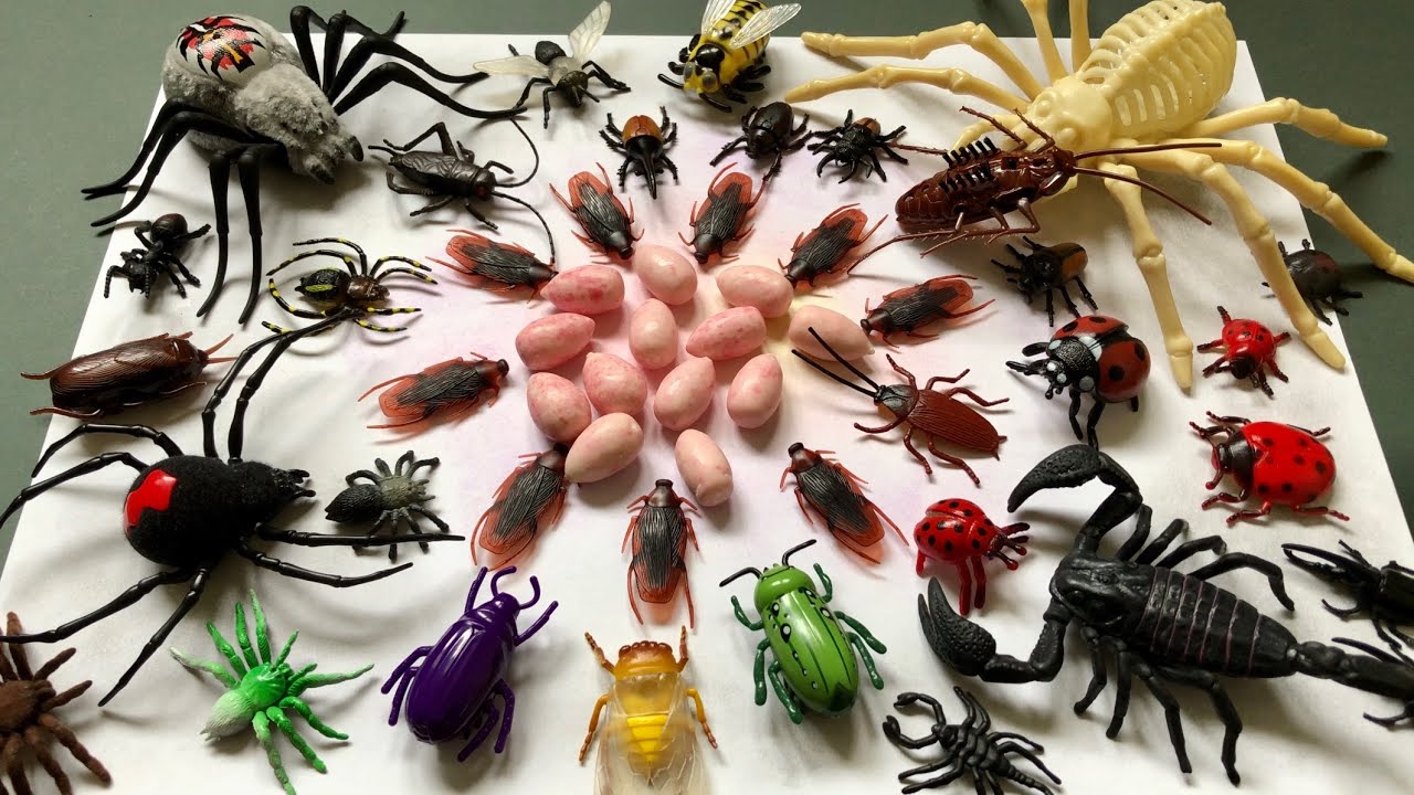 Robotic Crawling Battle Bugs for Kids. Crawl Vibrating Insects Toys ...