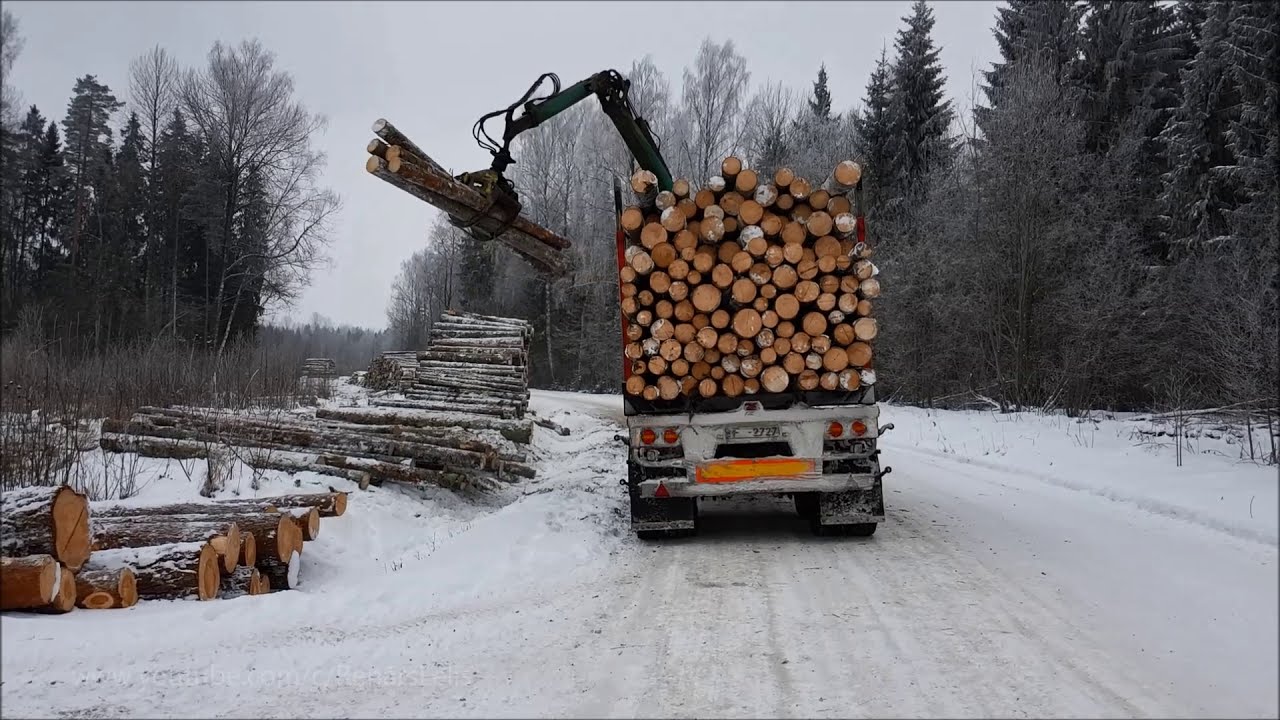 Forestry work-compilation 3 - YouTube