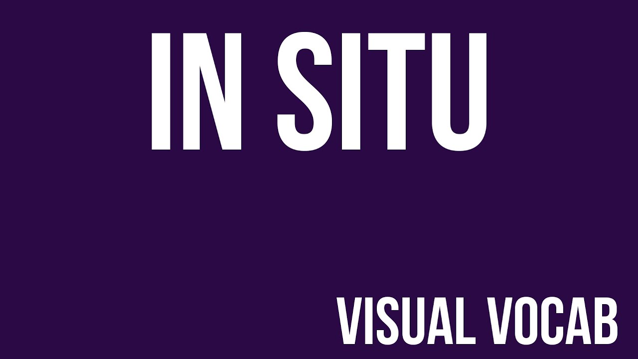 In Situ defined - From Goodbye-Art Academy - YouTube