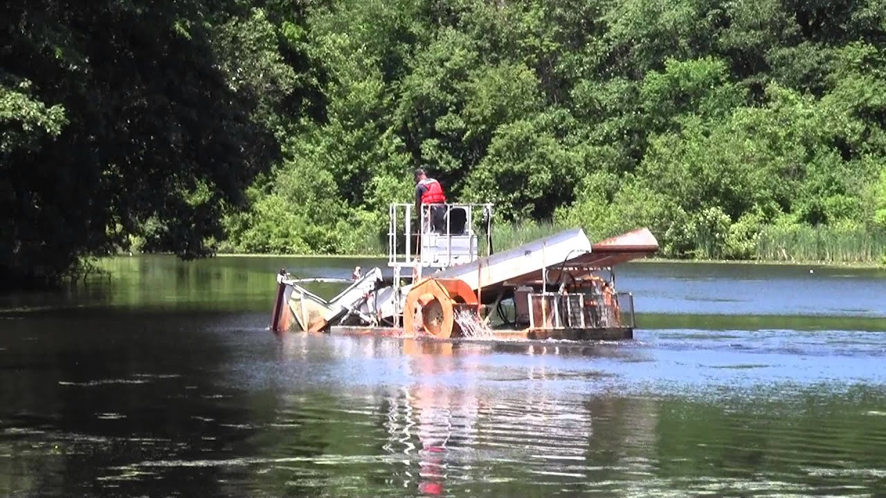 Longfellow Pond Scum Scraper, Wellesley MA - YouTube