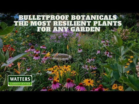 🌺Bulletproof Botanicals - The Most Resilient Plants for Any Garden🌺 ...
