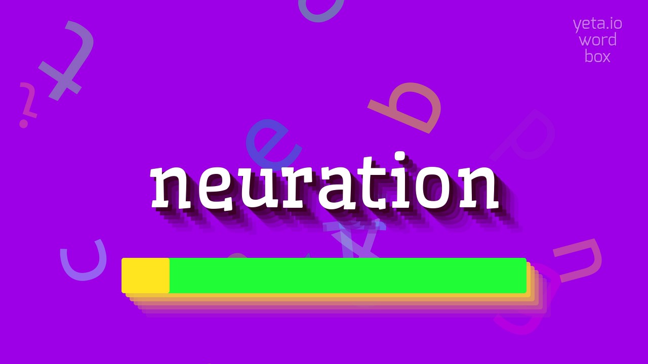 How to say "neuration"! (High Quality Voices) - YouTube