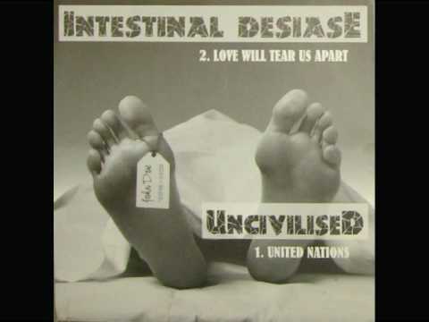 INTESTINAL DISEASE - "Love Will Tear Us Apart" - YouTube