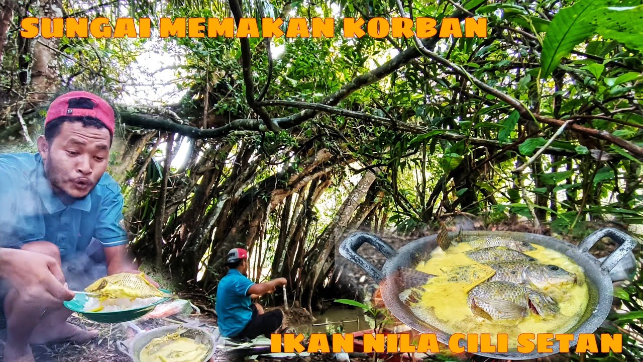 SUNGAI BESAR MEMAKAN KORBAN||MASAK NILA CILI SETAN - YouTube
