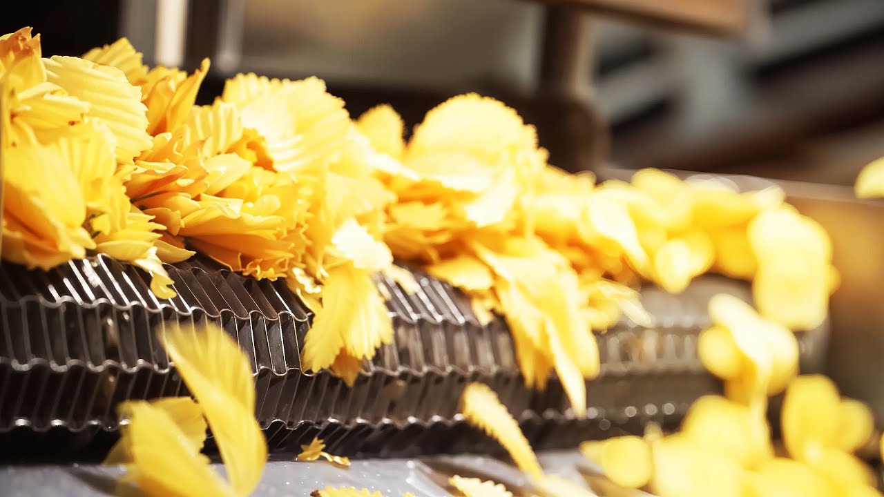 Amazing Technology and Machines for Chips Production in Factory - YouTube