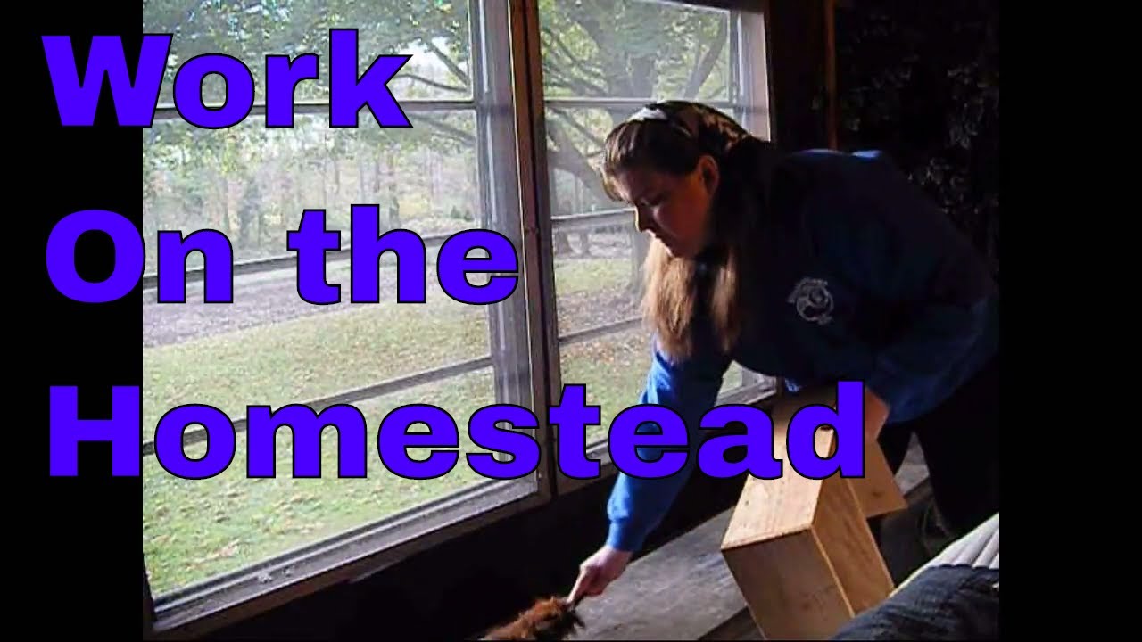 Winterizing on the Homestead (homestead Tessie Mobile Home Living ...
