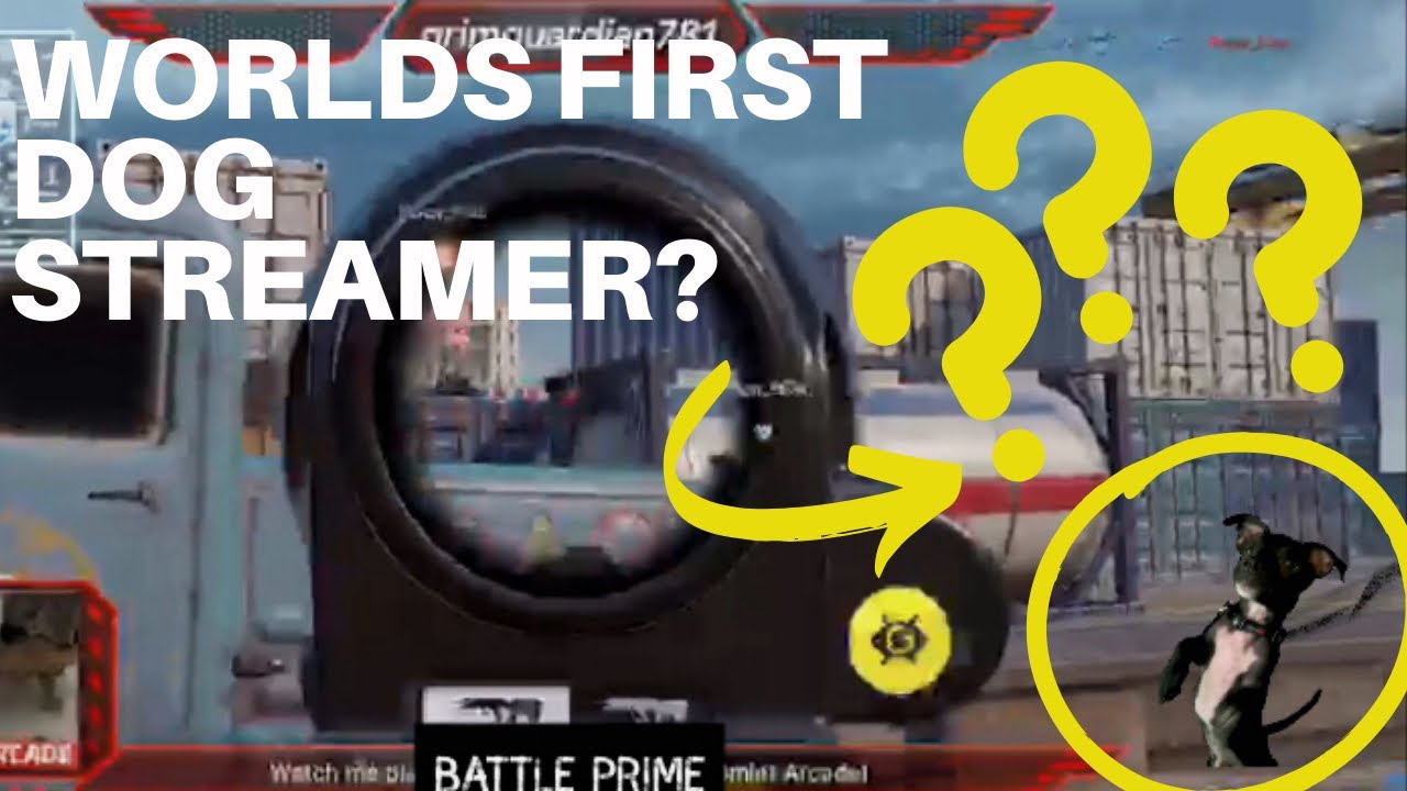 Puppy Live-streams Video Game | Battle Prime Gameplay | World’s First ...