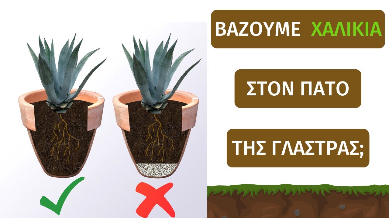 Χρειάζεται να βάζουμε χαλίκια στον πάτο της γλάστρας για καλύτερη ...