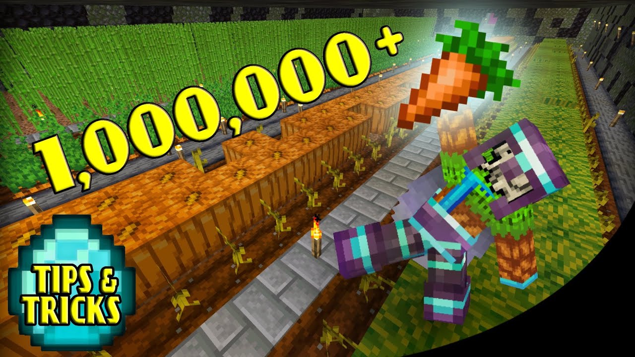 Farming Guide Get the Most Out of Your Farm | Minecraft Bedrock Tips ...