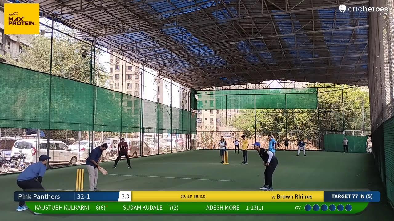 Brown Rhinos vs Pink Panthers Live Cricket Match | Cedar Premier League ...