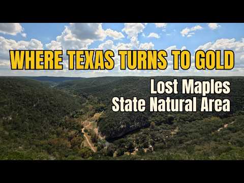 Lost Maples State Natural Area — Texas's Most Stunning Fall Colors