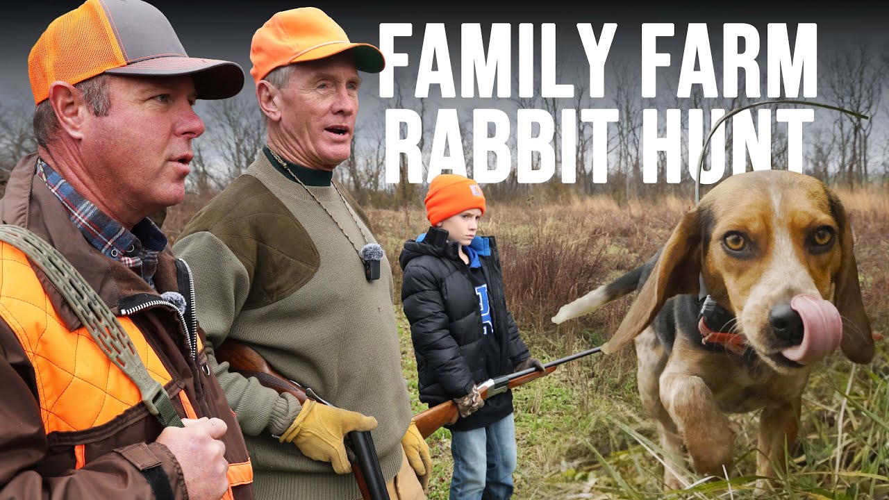 Rabbit Hunting with Beagles on the Family Farm - YouTube