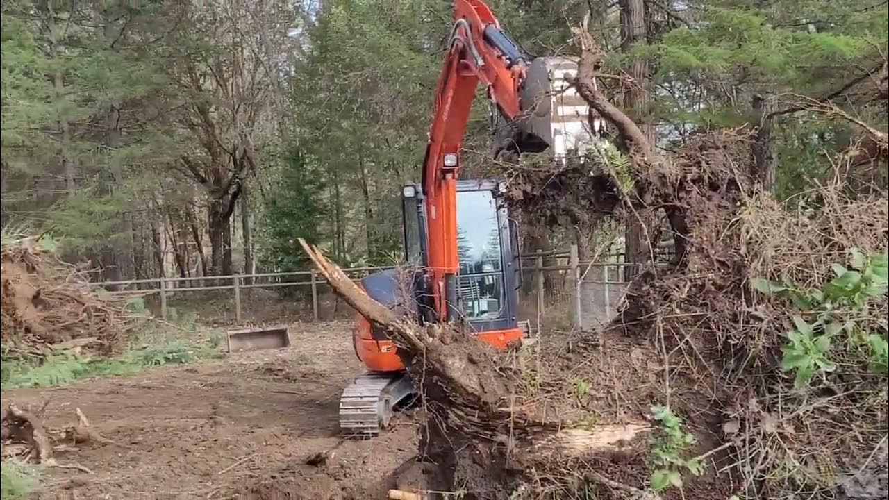 Tree pushing Tree topping and stump Pullen Kubota kx-040 - YouTube