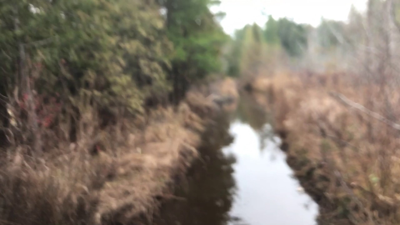 Little bit of water - YouTube