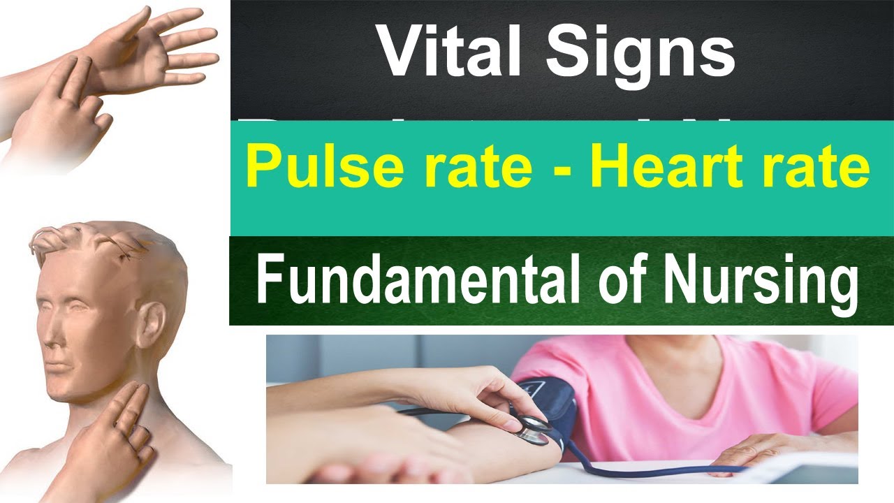 Pulse Measurement (Pulse Rate - Heart Rate) - Fundamentals of Nursing ...
