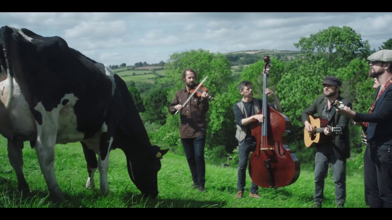 Kerrygold: Cow Concert - YouTube