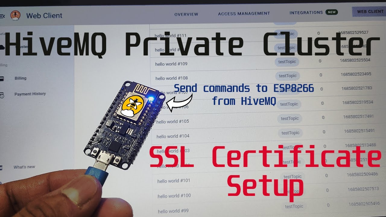 Setting Up Hivemq Private Cluster Ssl Certificate Esp8266 Mqtt Skillsheen Youtube