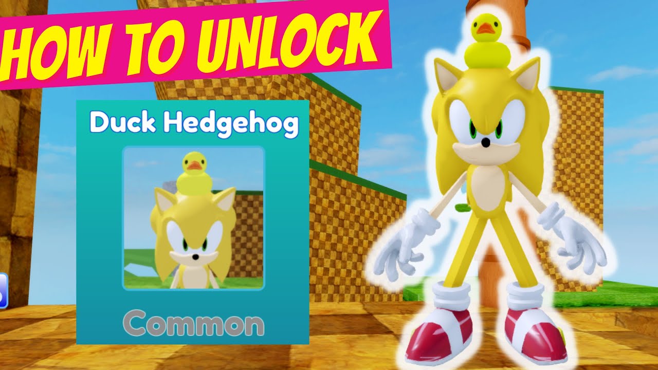 How To Get The DUCK Hedgehog Morph In Find The HEDGEHOG Morphs - YouTube