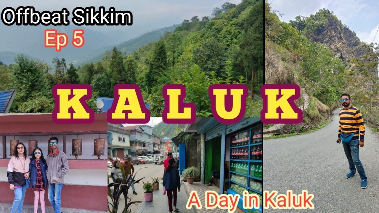 Offbeat Sikkim || Okhrey to Kaluk😍|| Sikkim Tour || Pine village ...