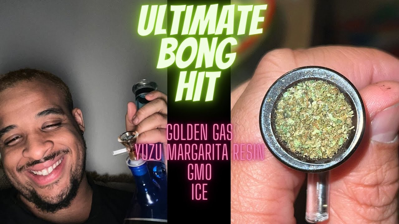 Ultimate Bong Hit| Golden Gas, GMO, Yuzu Margarita Resin, ICE - YouTube