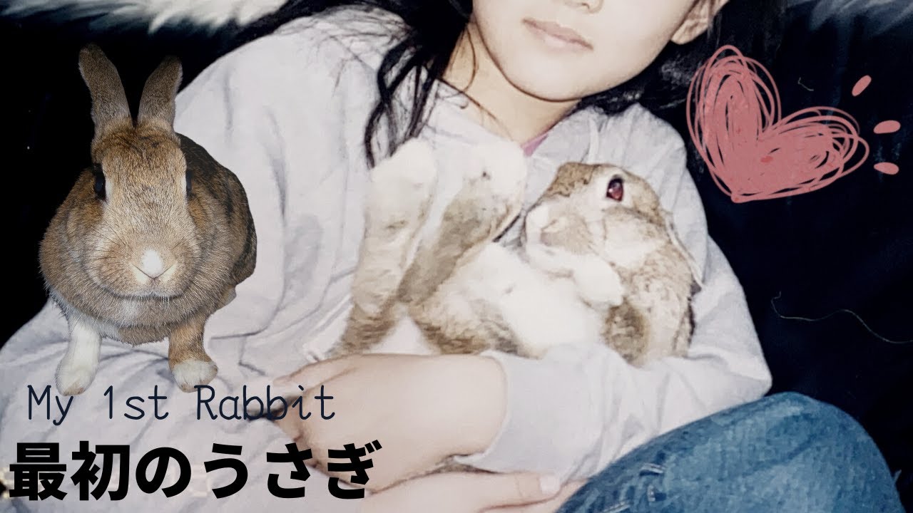 722【MY FIRST RABBIT】私の最初のうさぎ ジェリー♀ミニウサギ ～I had the rabbit when I was 9 ...