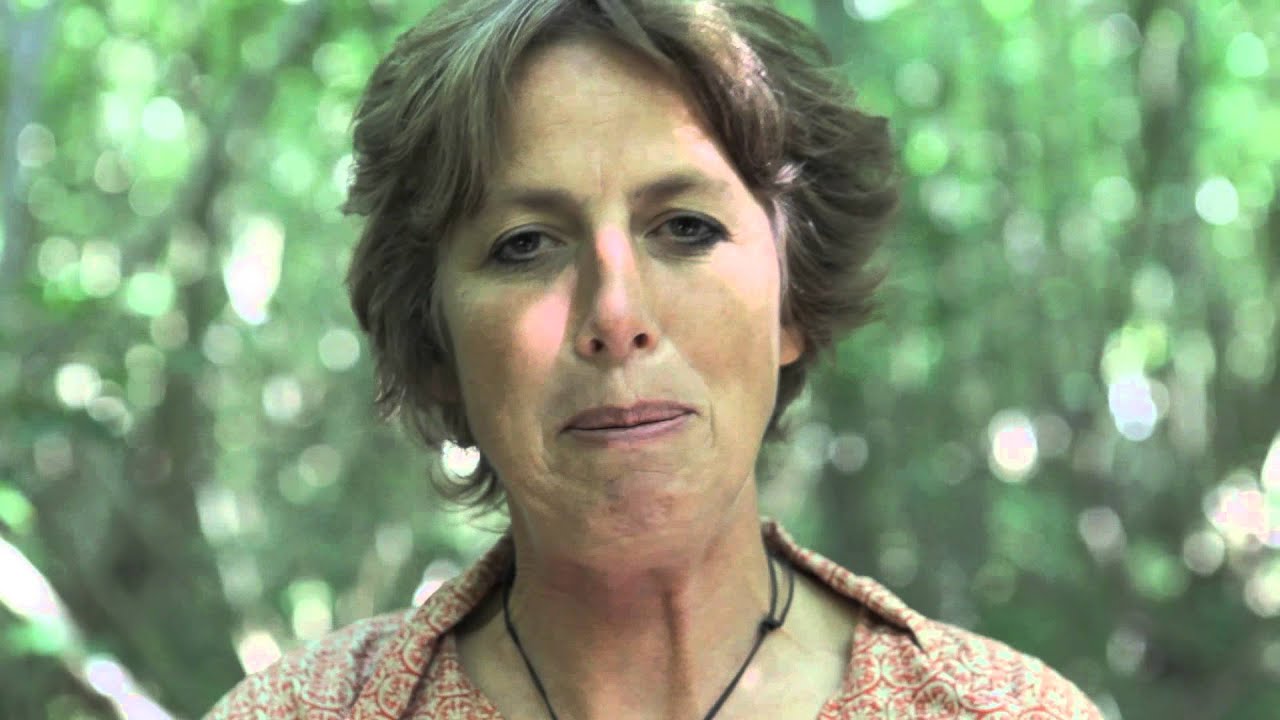 Gorillas, smartphones and coltan mining: children's author Gill Lewis ...