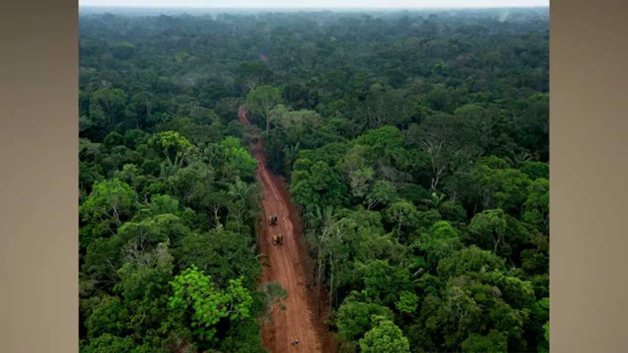 A Selective Logging Tale - YouTube
