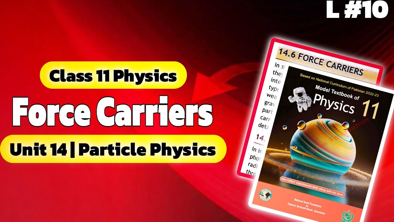 Force Carrier Particles Simple Explanation | Class 11 Physics NBF ...