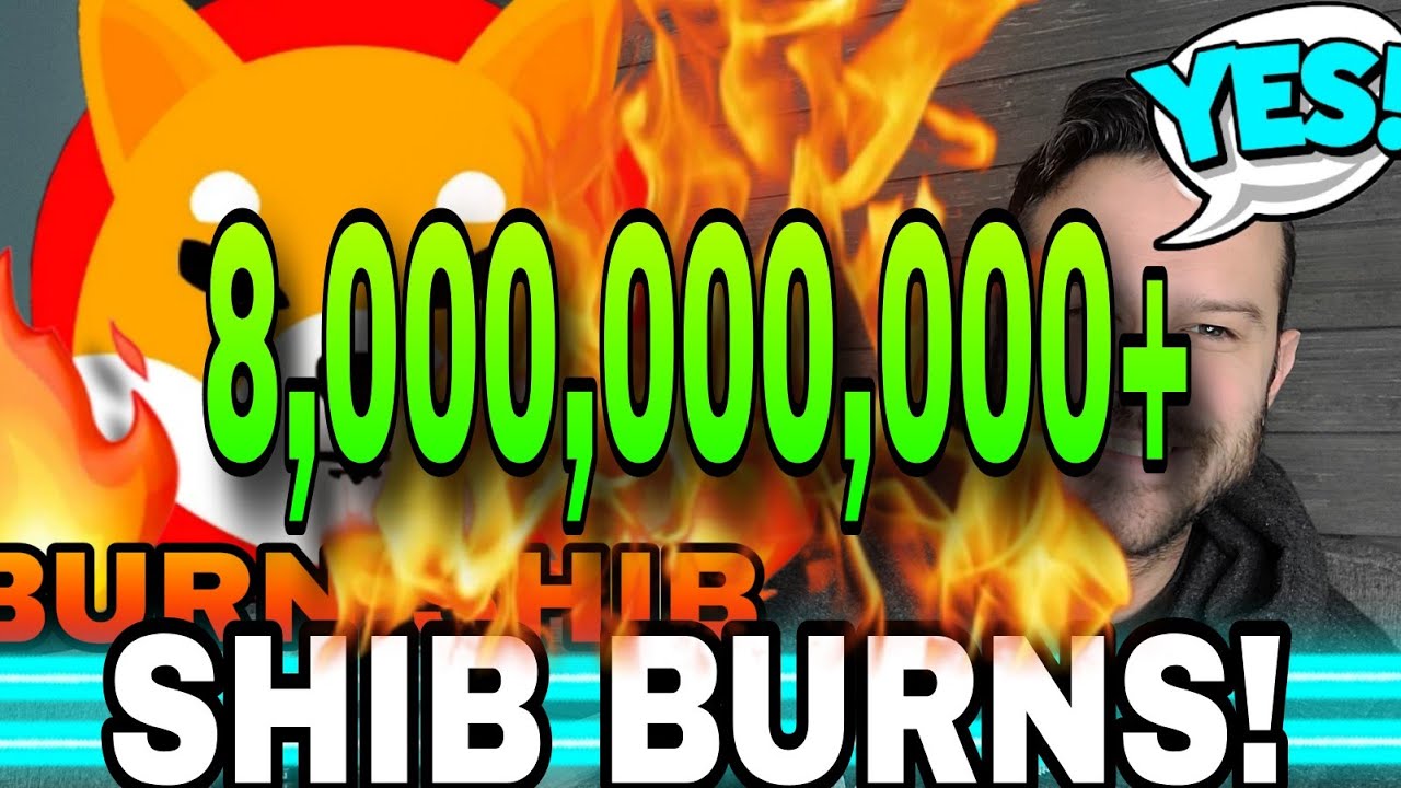 Shiba Inu Coin | Another Major SHIB Burn! Many More Remaining! - YouTube