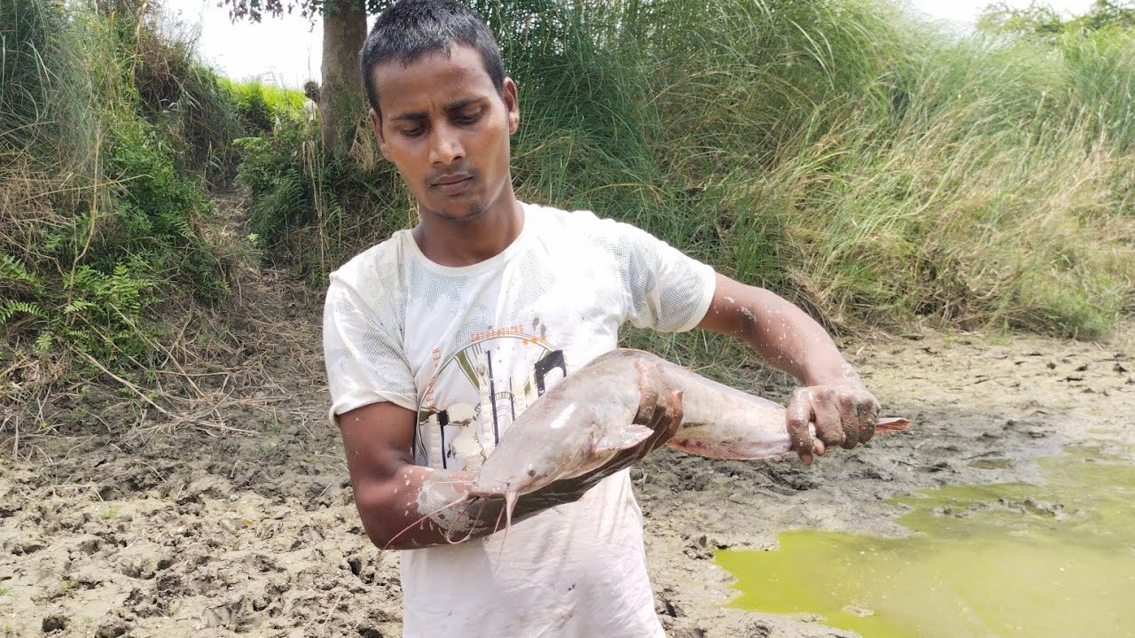 mangur fishing in village||mangur hand fishing video - YouTube