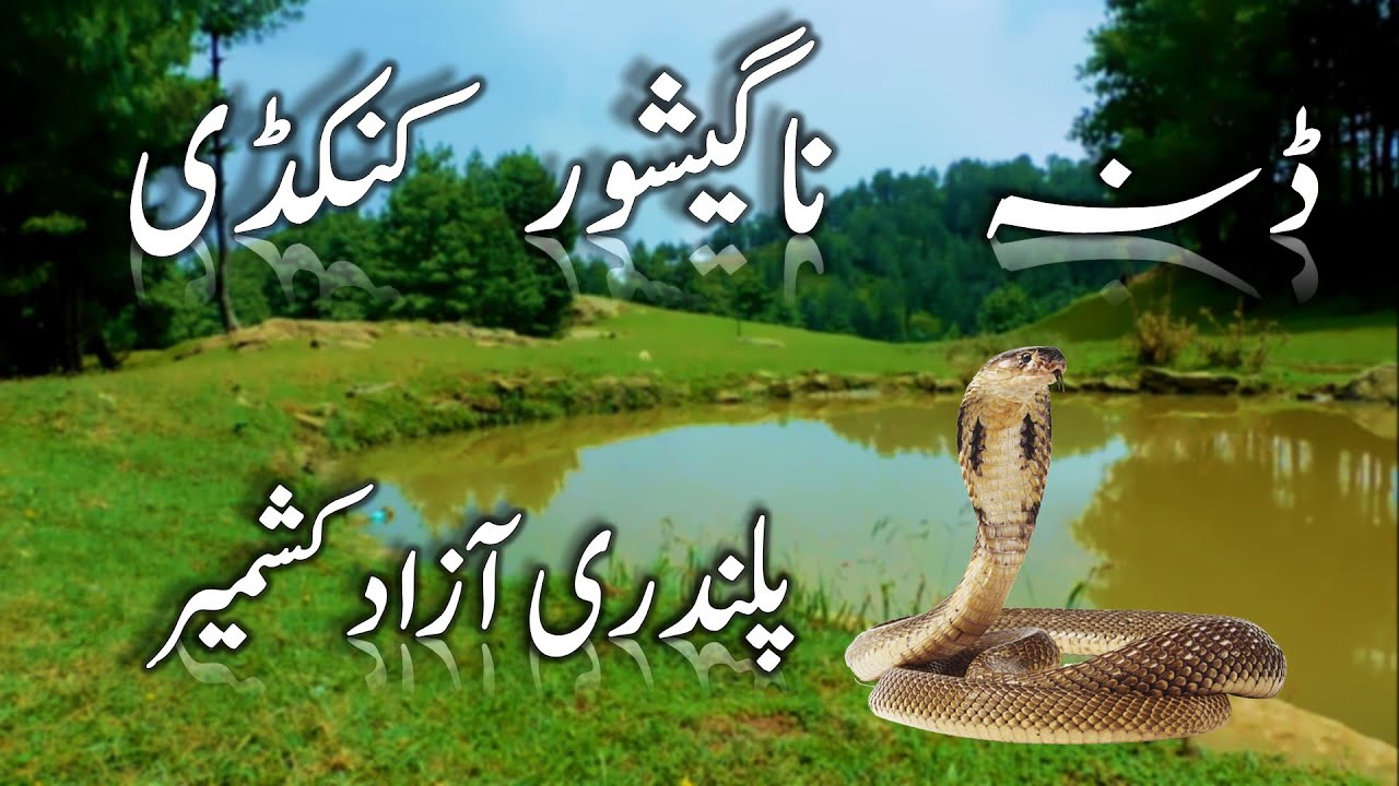 Danna Nagheshar Kankadi Pallandri Sudhnuti - ڈنہ ناگیشر کنکڈی نکر نالیں ...