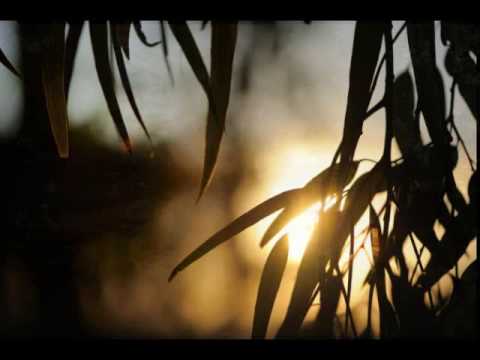 holosync guided meditation cds - YouTube