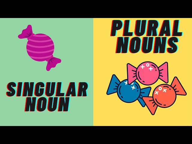 Singular And Plural Pronouns With Answers