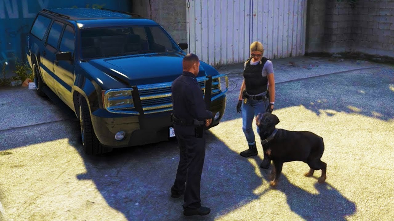GTA 5 Roleplay | ARP #17 - Assisting Bail Bondsmen ft. Firekitten - YouTube
