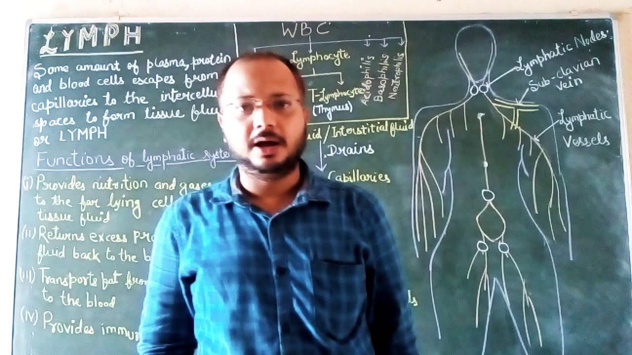 Class-X Biology Life Processes (LYMPH) - YouTube