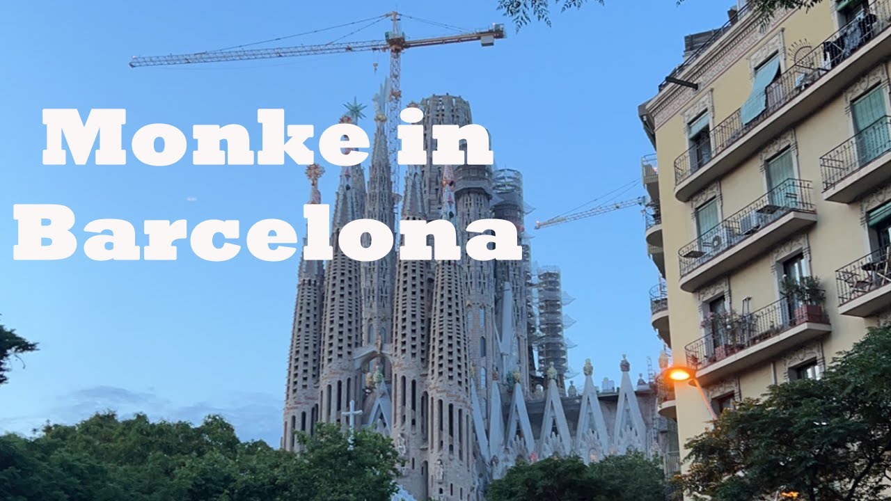 Monke Trap in Barcelona (ft. Spoonkid, Steve TV, Fred and Blazed) - YouTube
