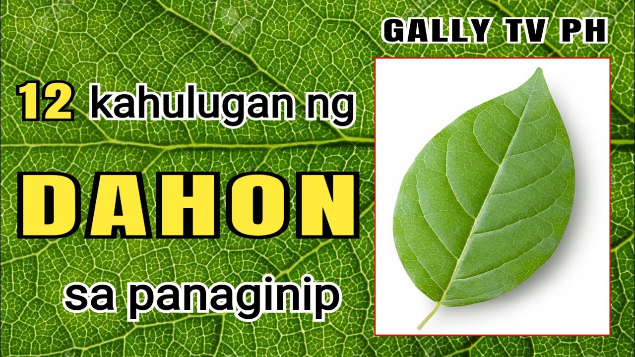 12 kahulugan ng DAHON sa panaginip #dahonsapanaginip - YouTube