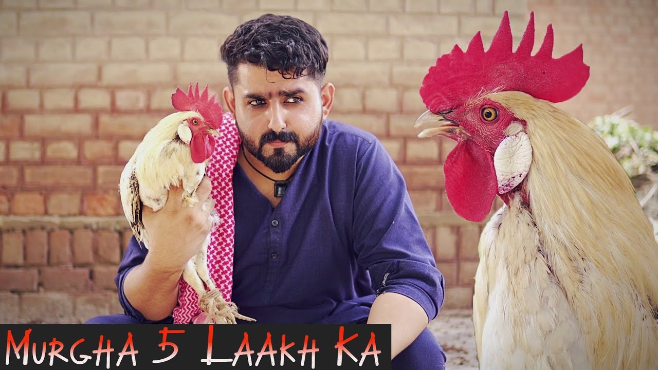Murgha 5 laakh Ka | Comedy Skit - YouTube