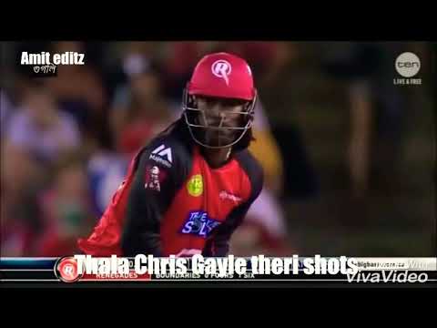 Status video chris Gayle