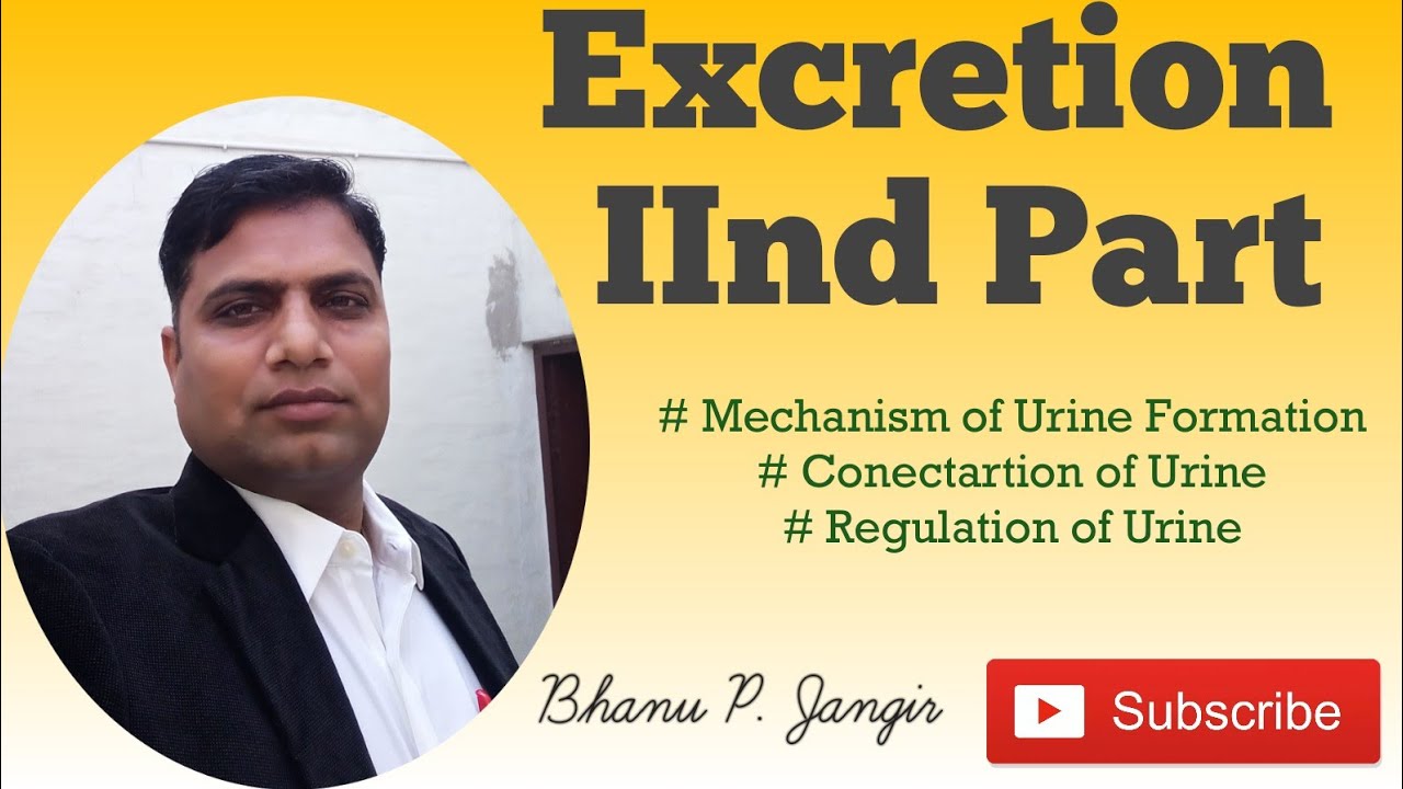 Excreation IInd Part ( Class 12th RBSE, 11th CBSE, NEET, AIIMS, BHU, B ...
