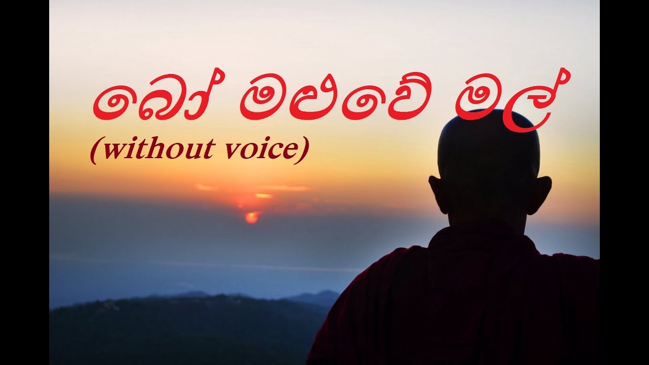 Bo maluwe (බෝ මළුවේ මල්) karaoke - YouTube