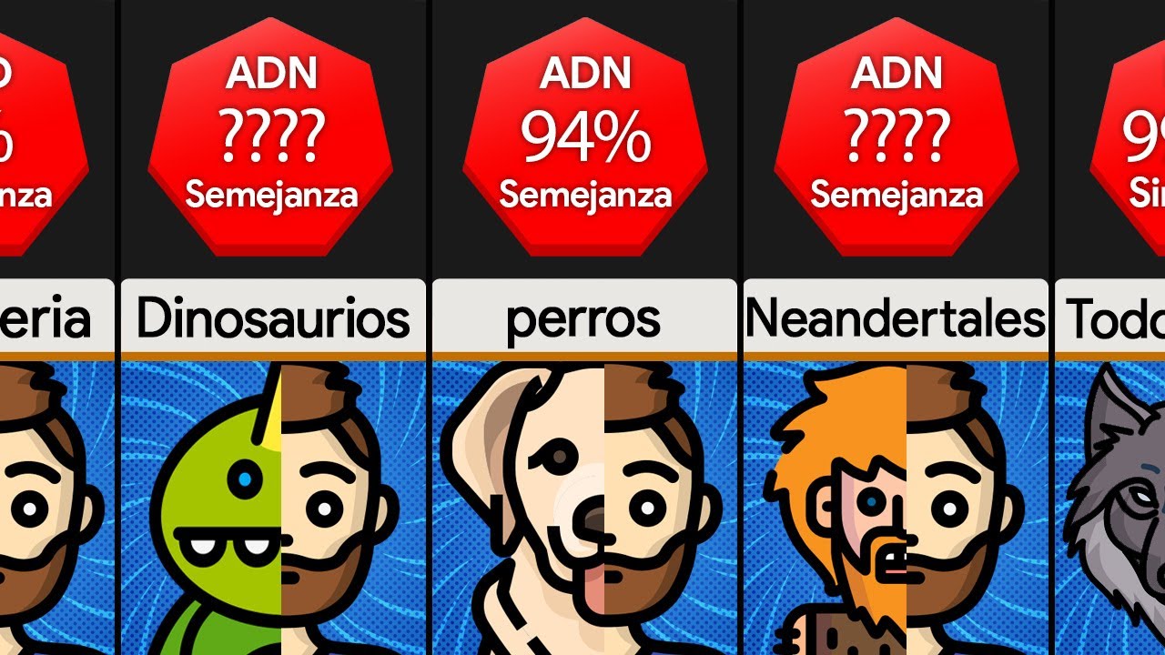 Comparación: ¿Qué tan similares somos a los animales (similitud ...