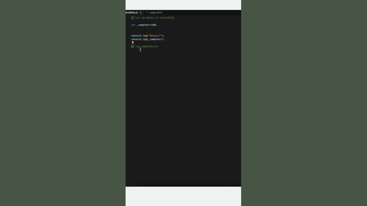 Javascript Js Javascript Javascripttutorial Commentaires Codage Programmation Javascript 