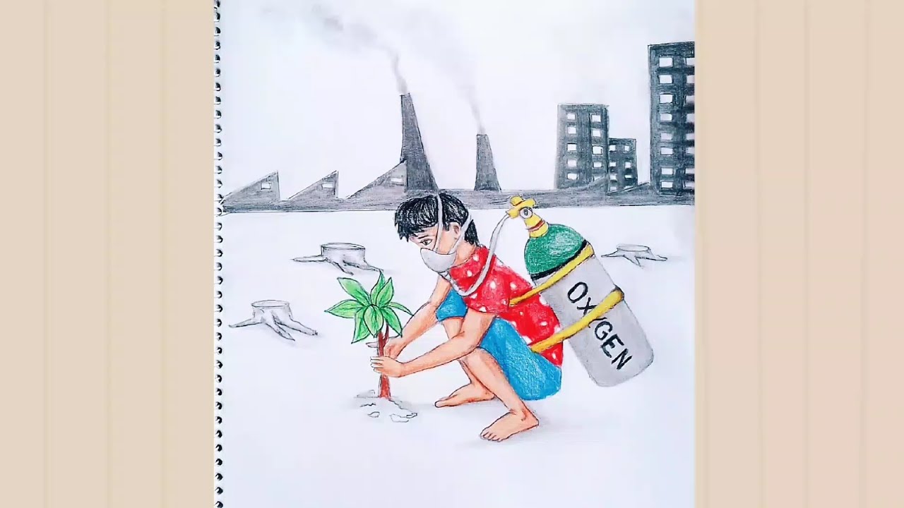 how to draw scenery of tree plantation||step by step for bigenners ...