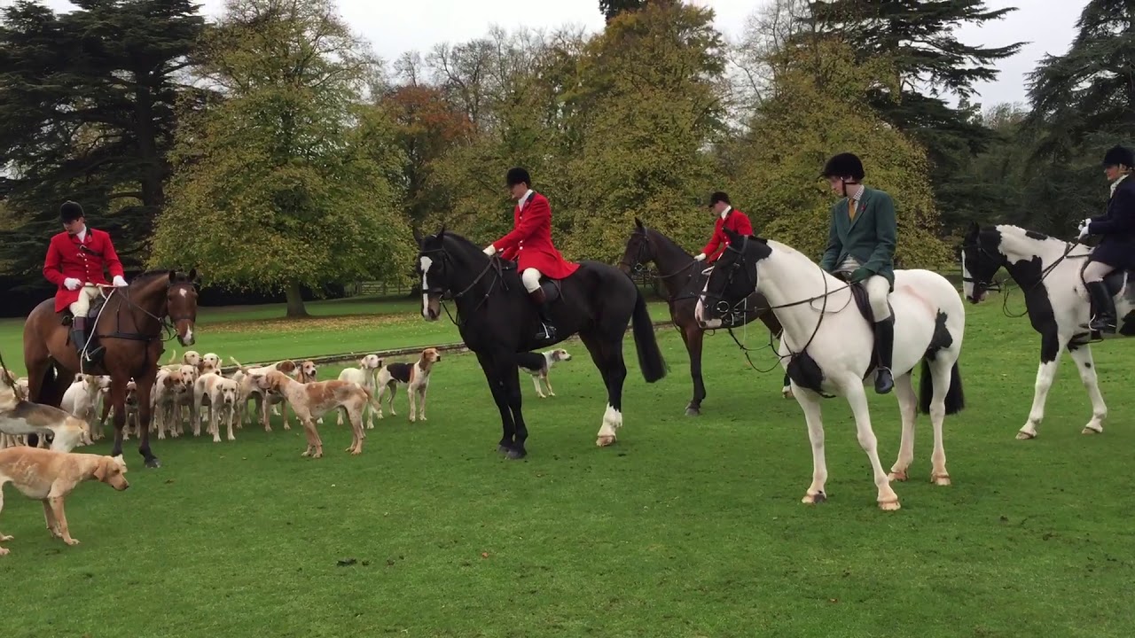 The Gathering of Fox Hunters & Hounds - YouTube