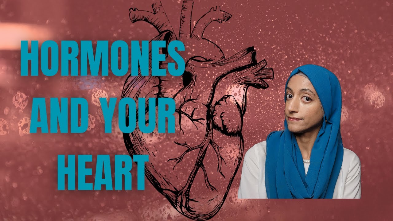 Menopausal Hormone Therapy & Heart Disease: What the Research Shows ...