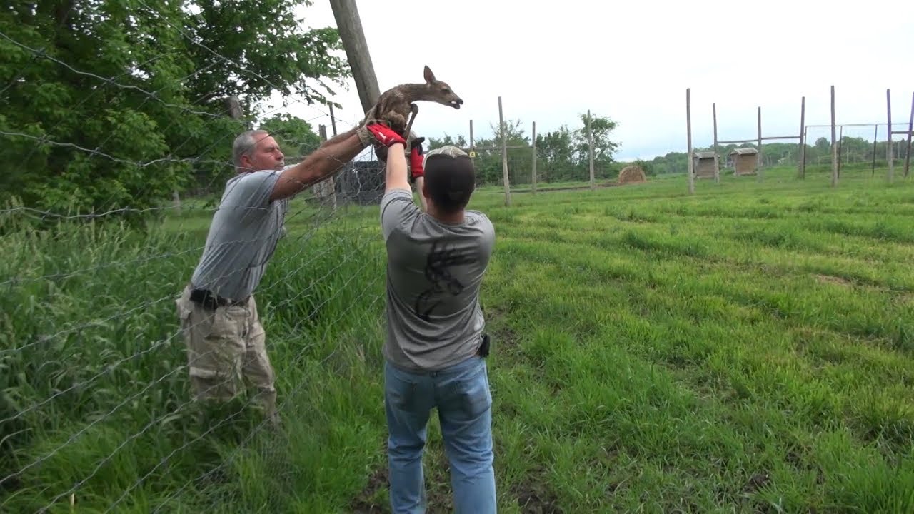ConQuest 200. Season 2. Episode 1. Farming for Whitetails. - YouTube