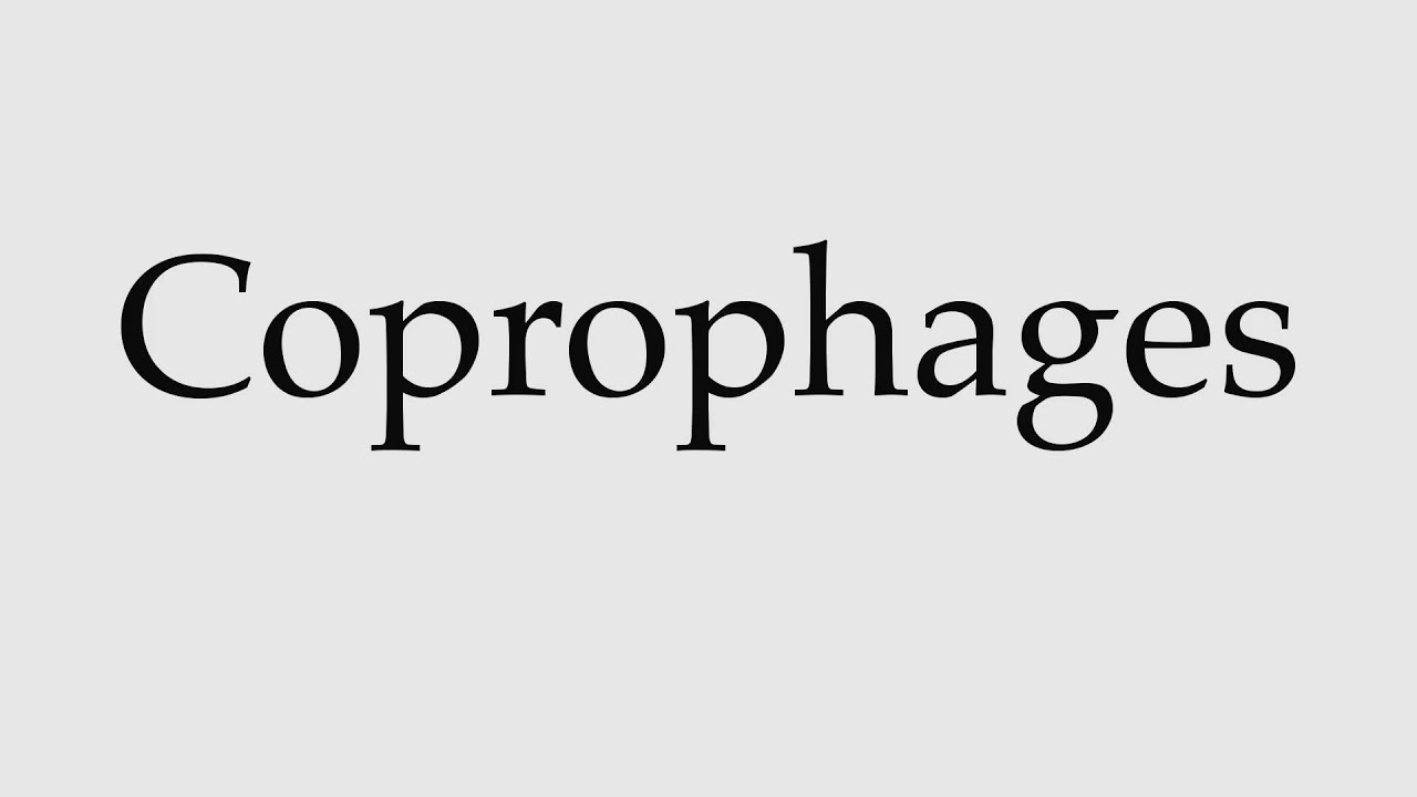How to Pronounce Coprophages - YouTube